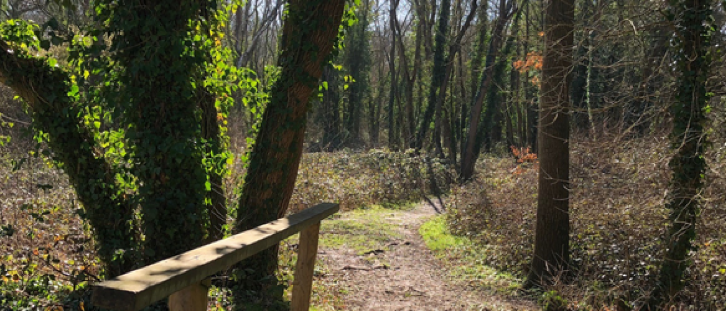 Orienteering